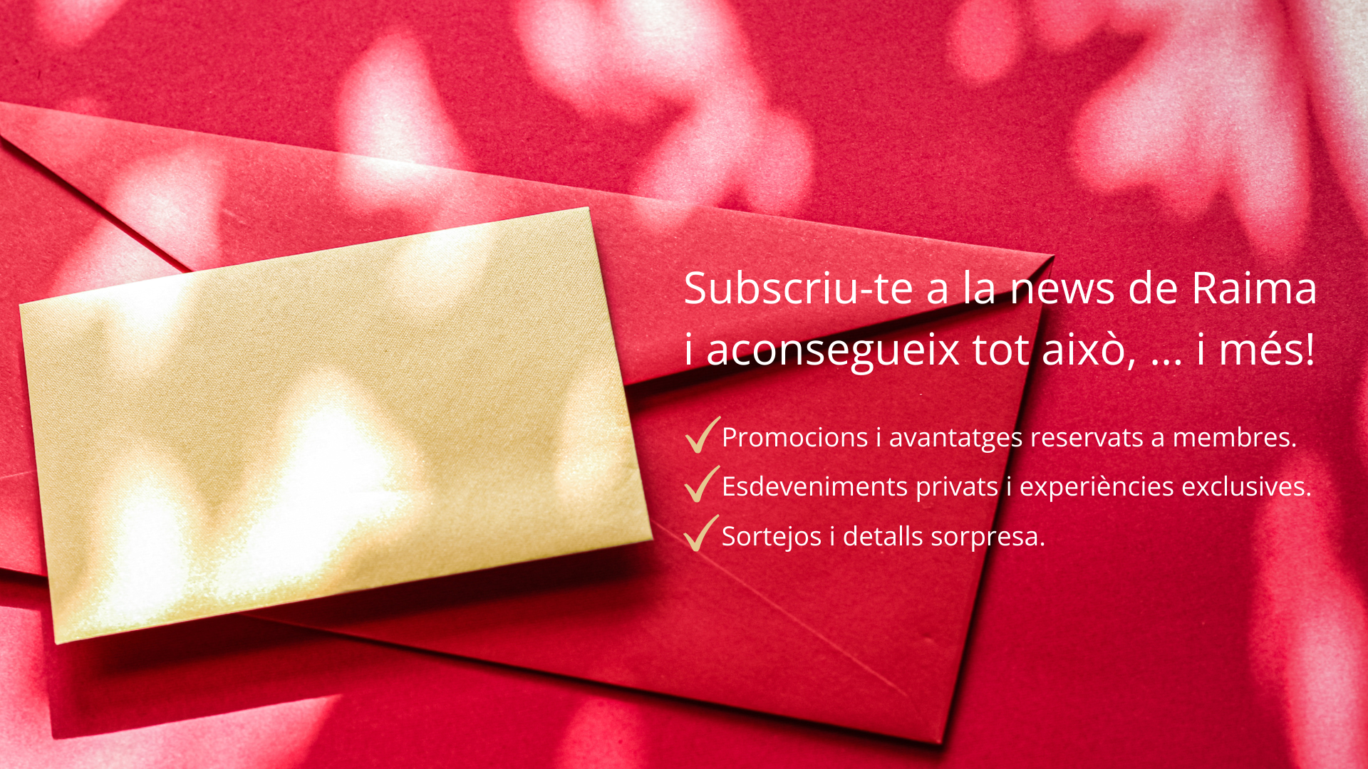 Raima | La papelería más grande de Europa, en Barcelona. el Gótico